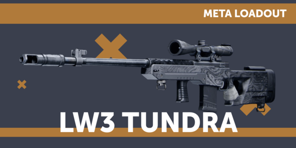 Cold War LW3 Tundra | CoD Cold War Boost