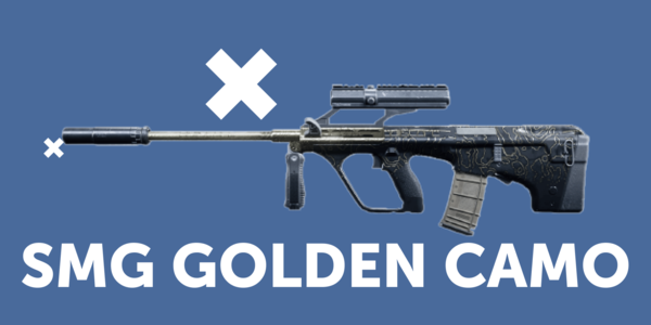 Buy CoD Warzone SMG Golden Camo Unlock Boost | LFcarry