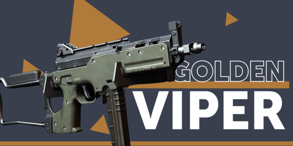 Buy Lc10 Golden Viper Camo Unlock Boost Cod Cold War Carry