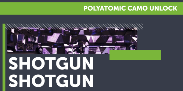 MW2 Shotgun Polyatomic Camo Unlock - Modern Warfare 2 Boost