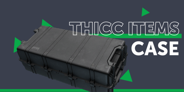 THICC Items case - Escape From Tarkov - LFcarry.com