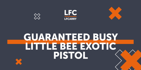 Buy Busy Little Bee Pistol: Division 2 Boosting Service | LFCarry