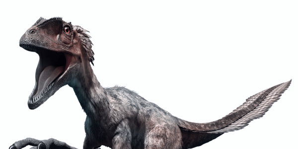 Troll Swift Raptor Mount 60 level Boost | WoW Classic Carry Service